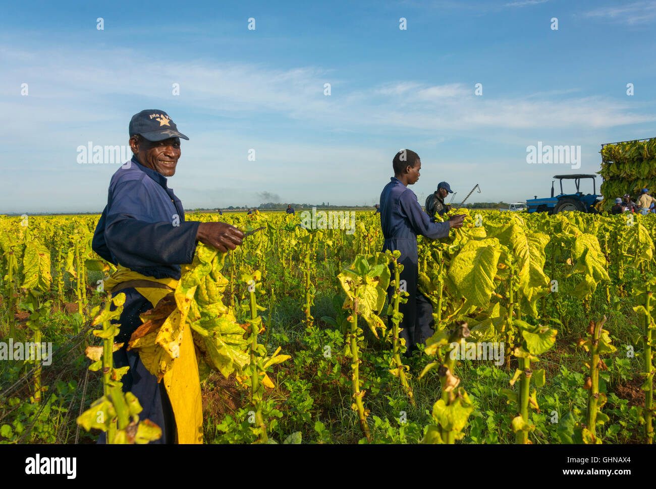 Farm labo hi-res stock photography and images - Alamy