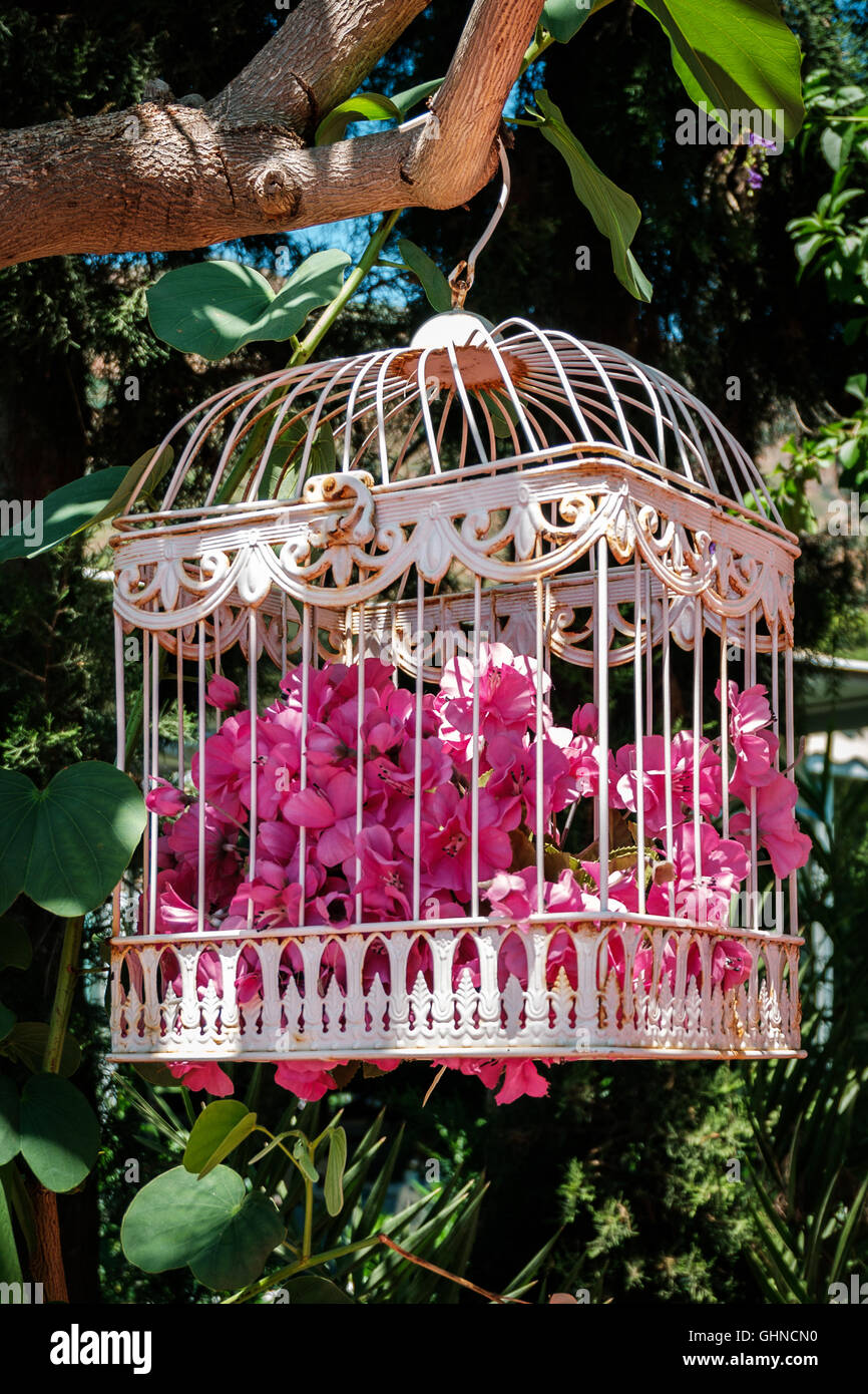 purple flowers in white cage on green tree background Stock Photo - Alamy