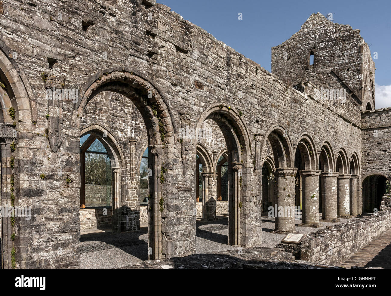 Ruins old abbey in ireland hi-res stock photography and images - Alamy