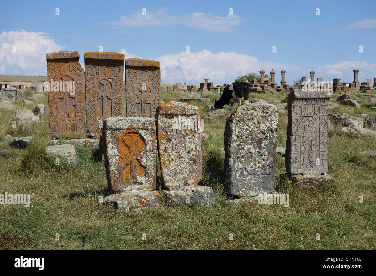 Noratus Armenia field of khachkars traditional west facing gravestones ...