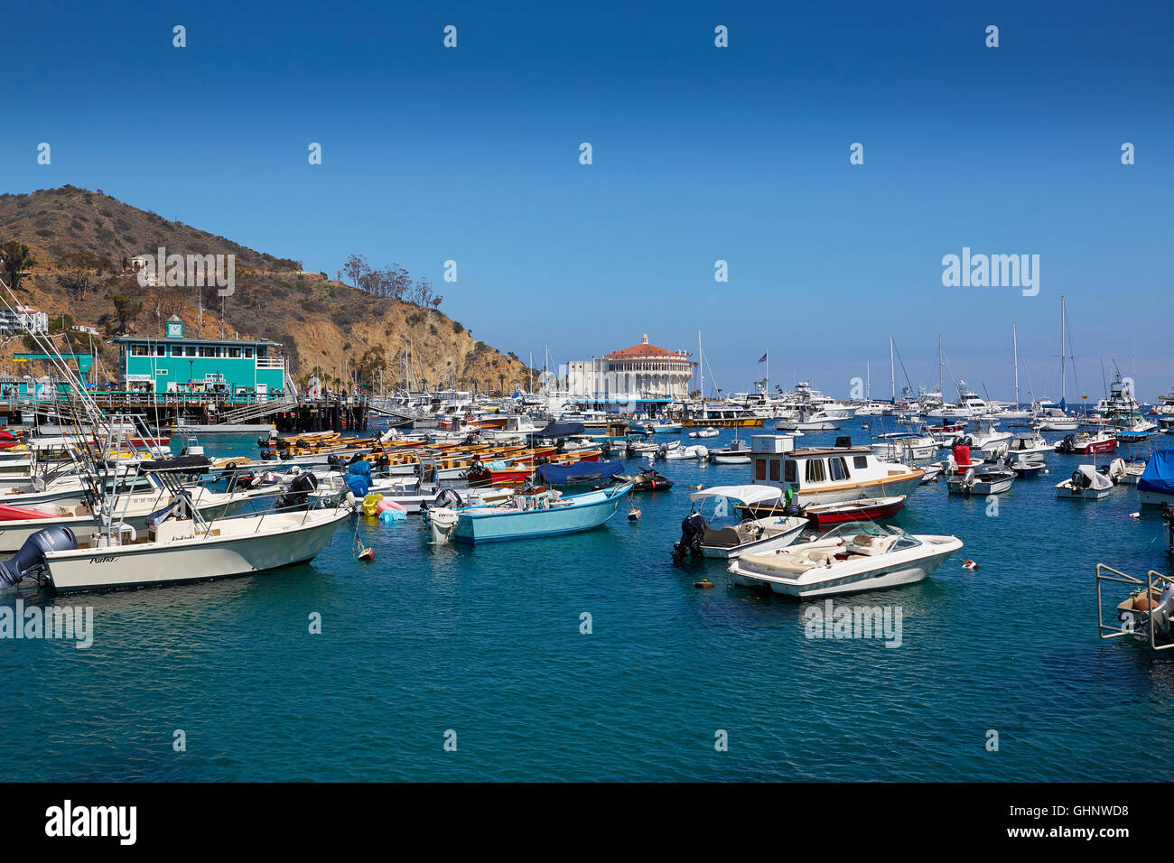 Crowded Moorings During The Summer Vacation In Avalon Harbor, Catalina ...