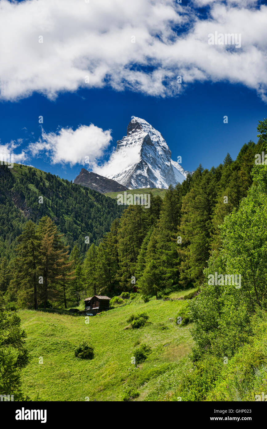 Zmutt hi-res stock photography and images - Alamy