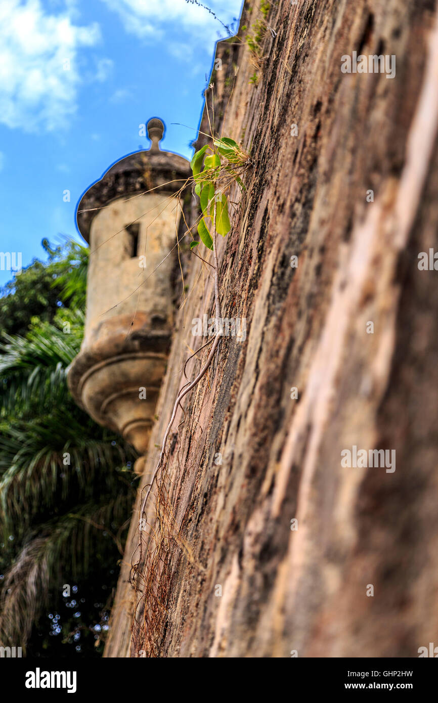 Vine Growing on Fortress Wall with Sentry Lookout Posts in Old San Juan ...