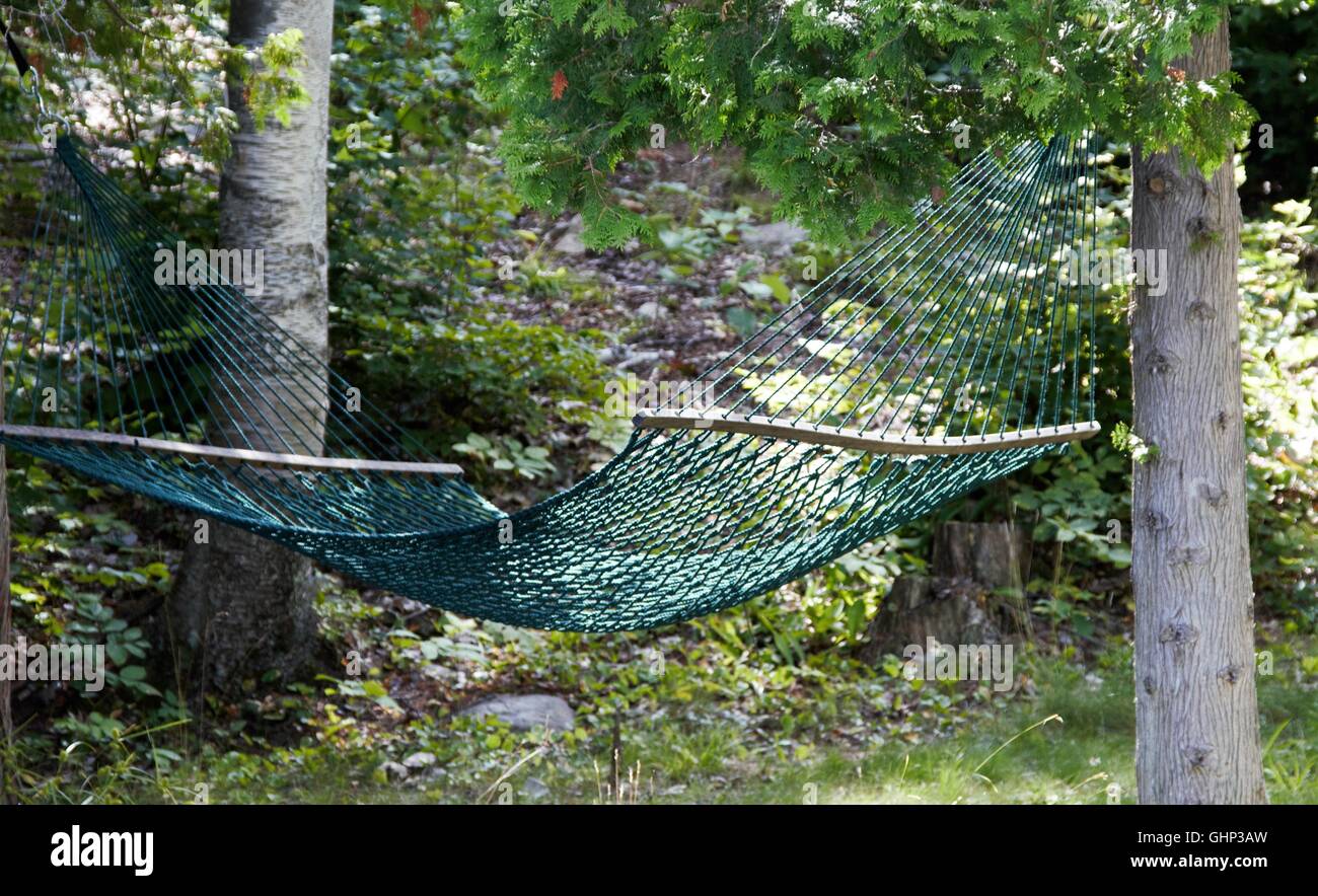 Hammock hanging in shade trees Stock Photo - Alamy