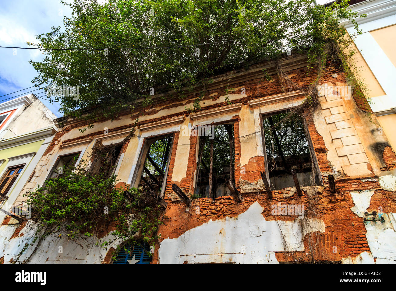 Tree Growing out of Old Dilapidated Building in Old San Juan, Puerto ...