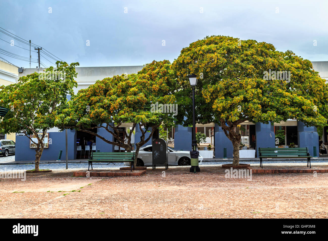 Beautiful Trees in Plaza San Jose in Old San Juan, Puerto Rico Stock ...