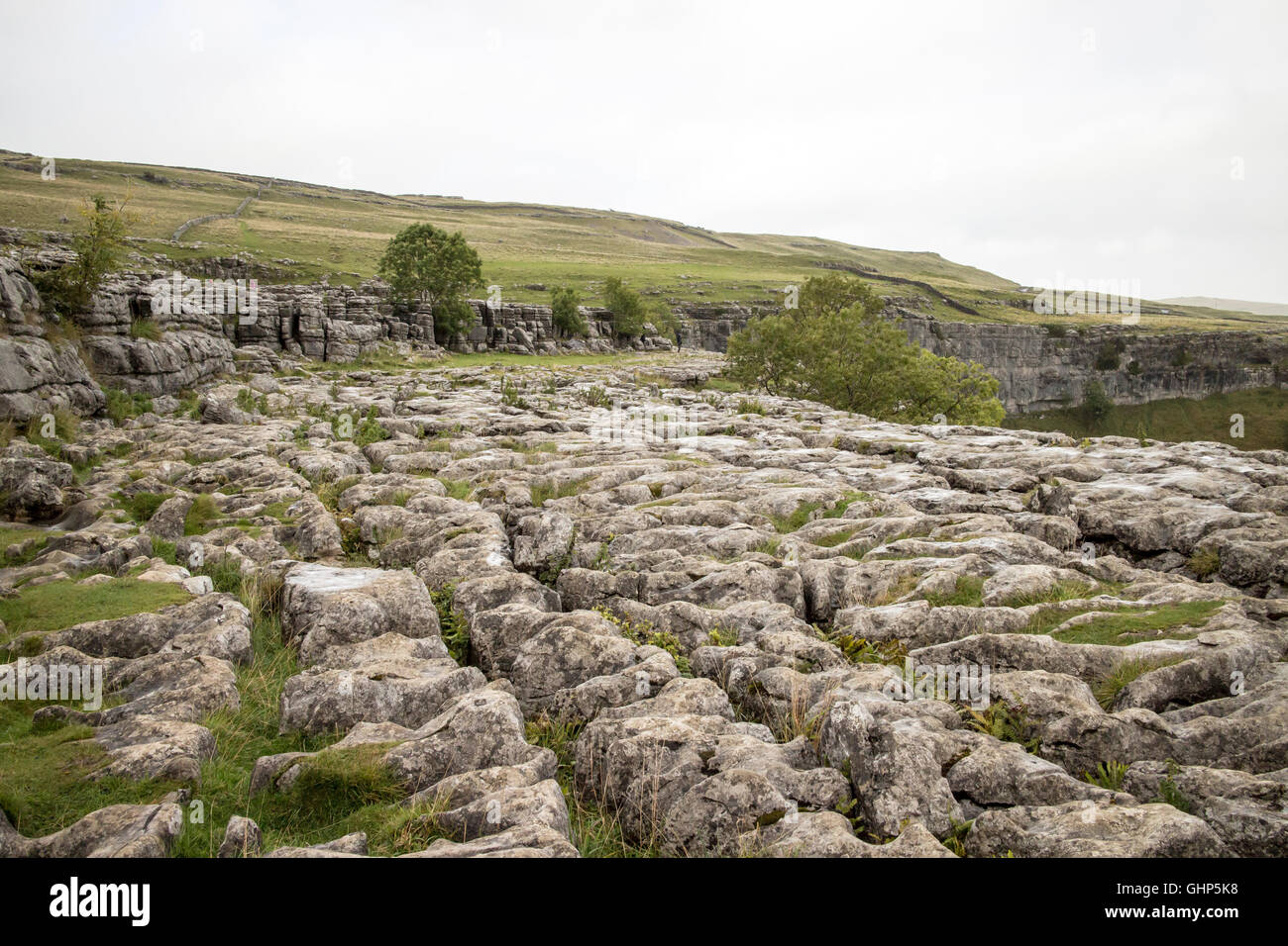Limestone Pavement, Malham Cove Stock Photo - Alamy