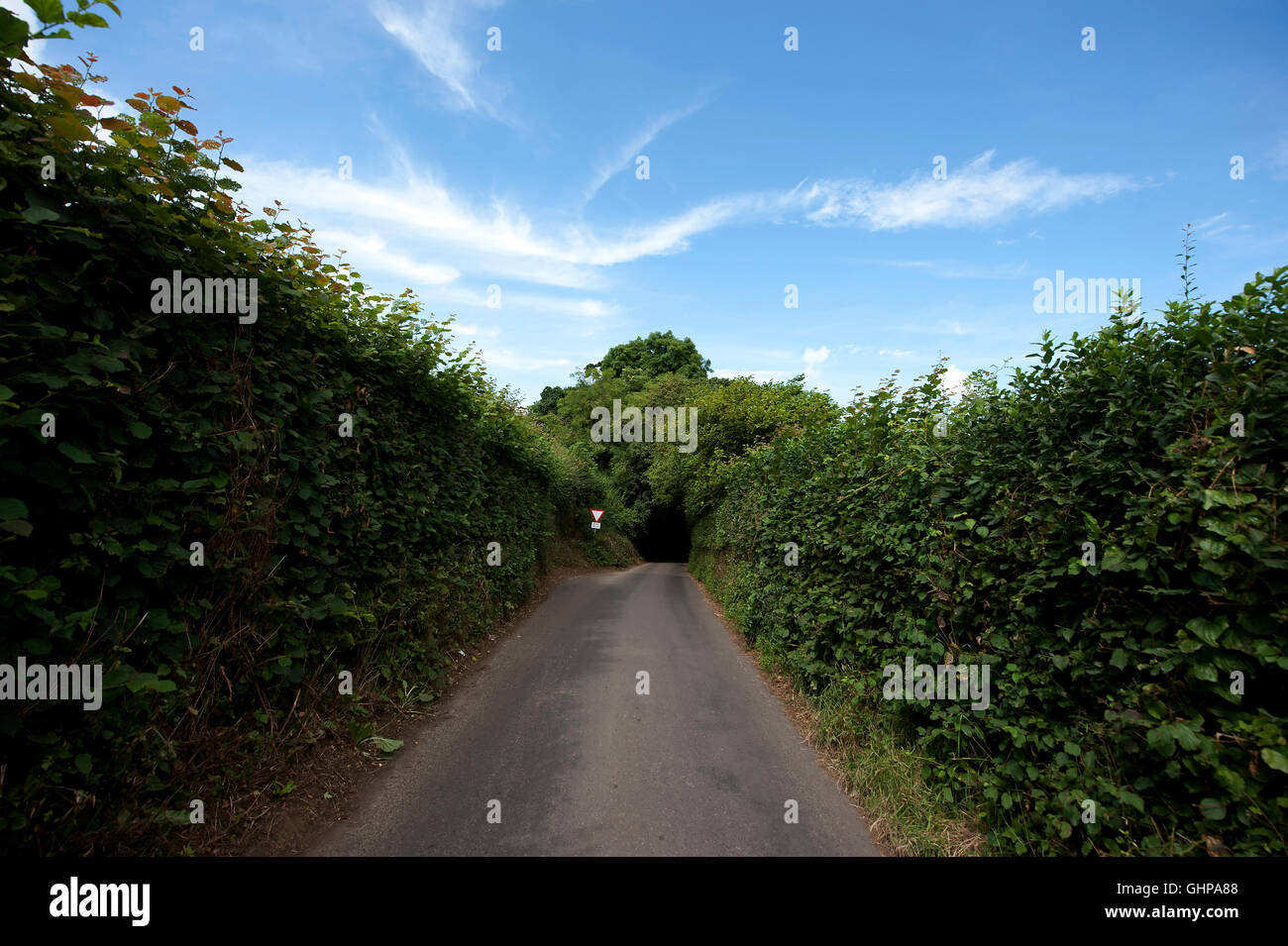 Narrow country road, East Coker, Yeovil, Somerset, England, United ...