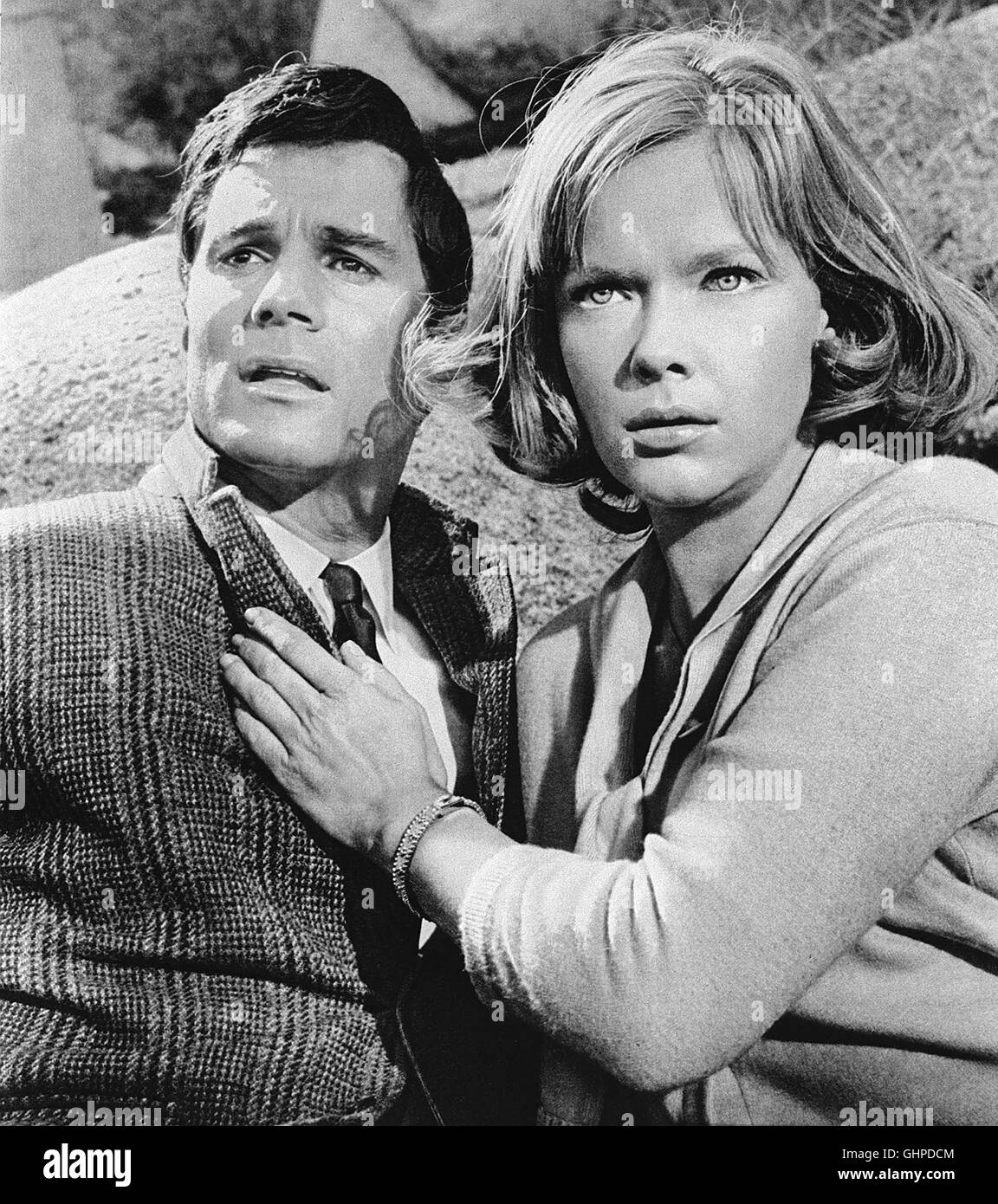 Menschliche zellen hi-res stock photography and images - Alamy