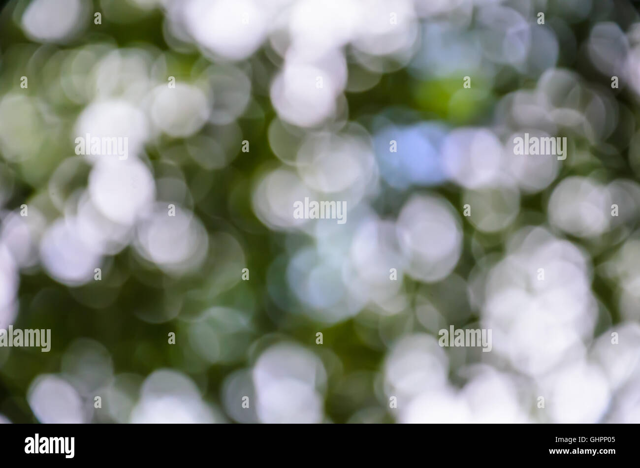 Light blur and bokeh green color background Stock Photo - Alamy