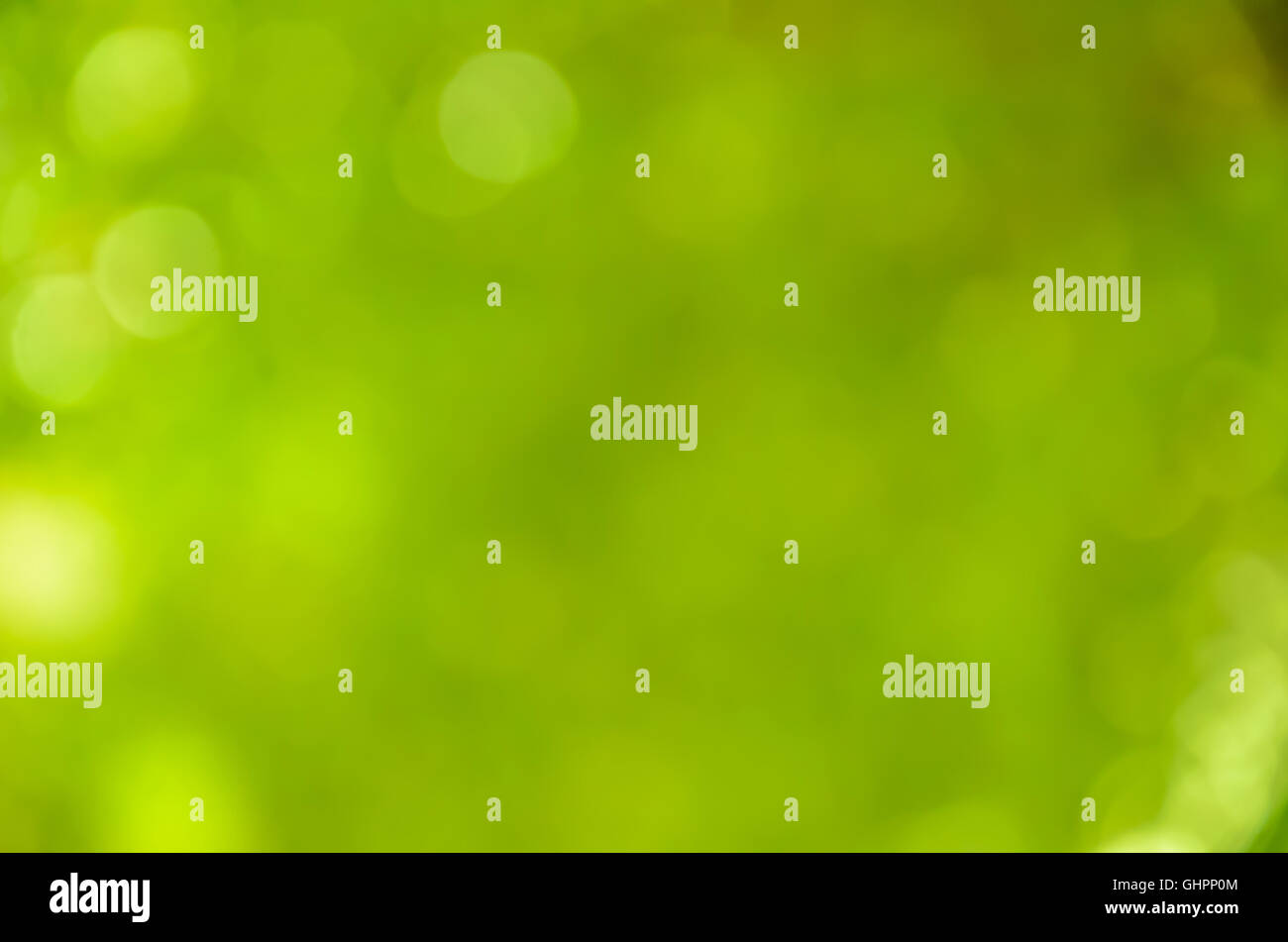 Bokeh background green lemon color and blur Stock Photo - Alamy