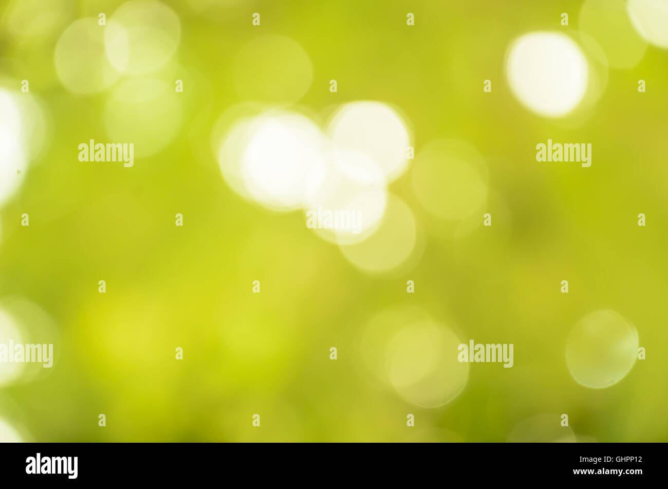 Bokeh and light soft green color background Stock Photo - Alamy