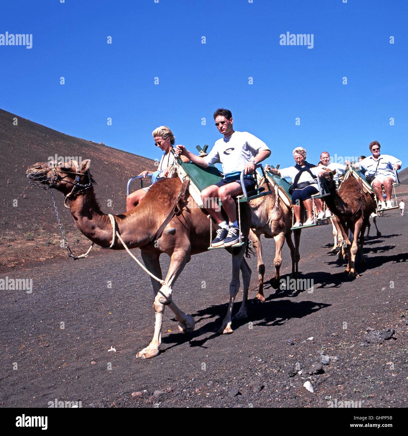 Tourists taking a camel ride through Timanfaya National Park, Lanzarote ...