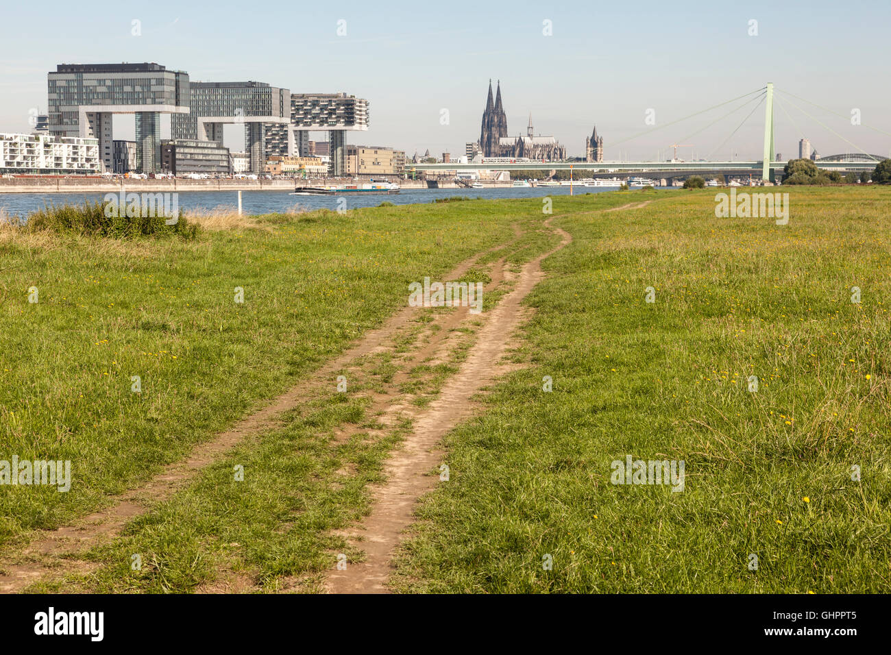 Green meadow on the right bank of the Rhine River in Cologne, Germany ...