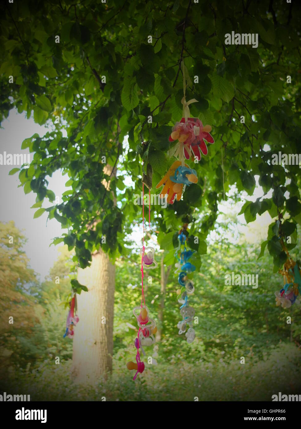 Dummies hang from a Suttetræ, Frederiksberg Gardens. Danish children ...