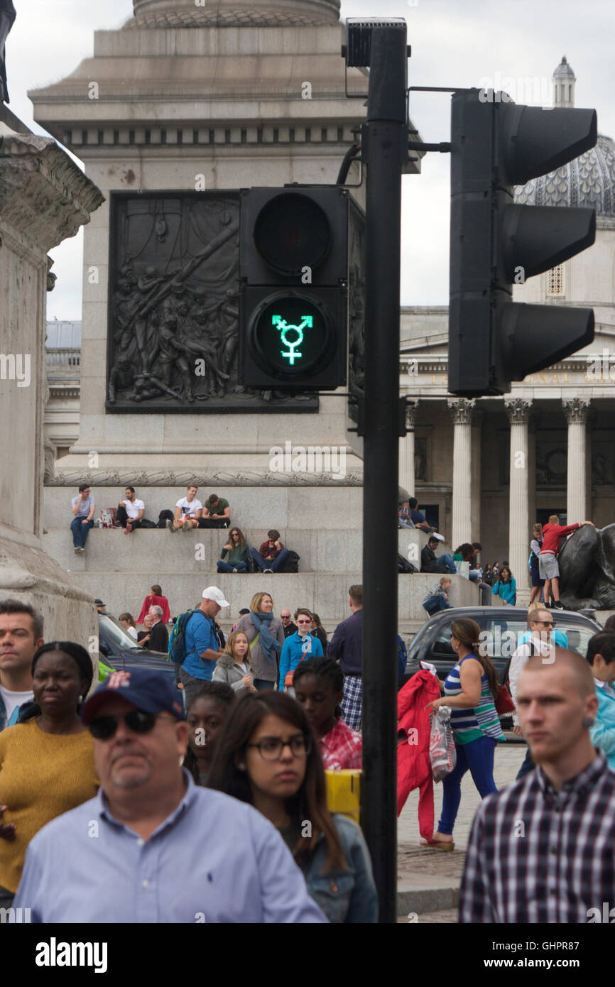 Trans crossing signal in London Trafalgar Square Stock Photo - Alamy