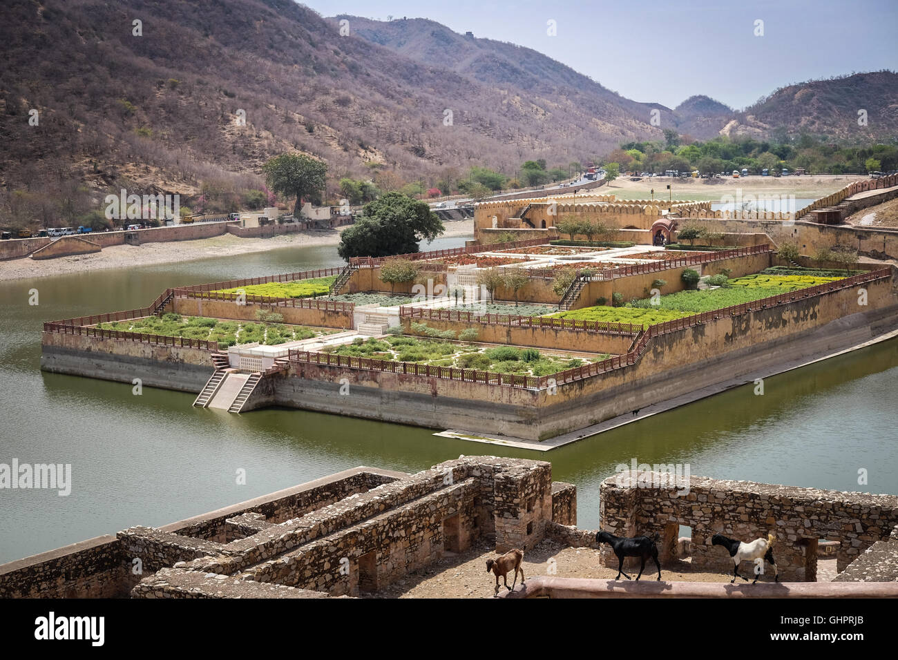 Floating gardens of Amber fort Stock Photo - Alamy