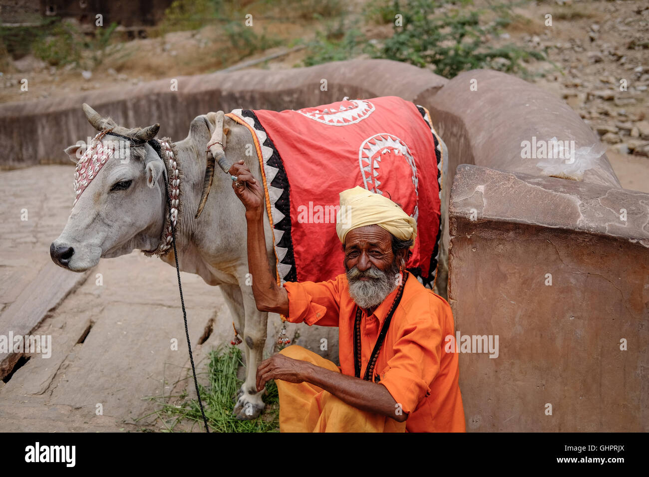 People with cow hi-res stock photography and images - Alamy