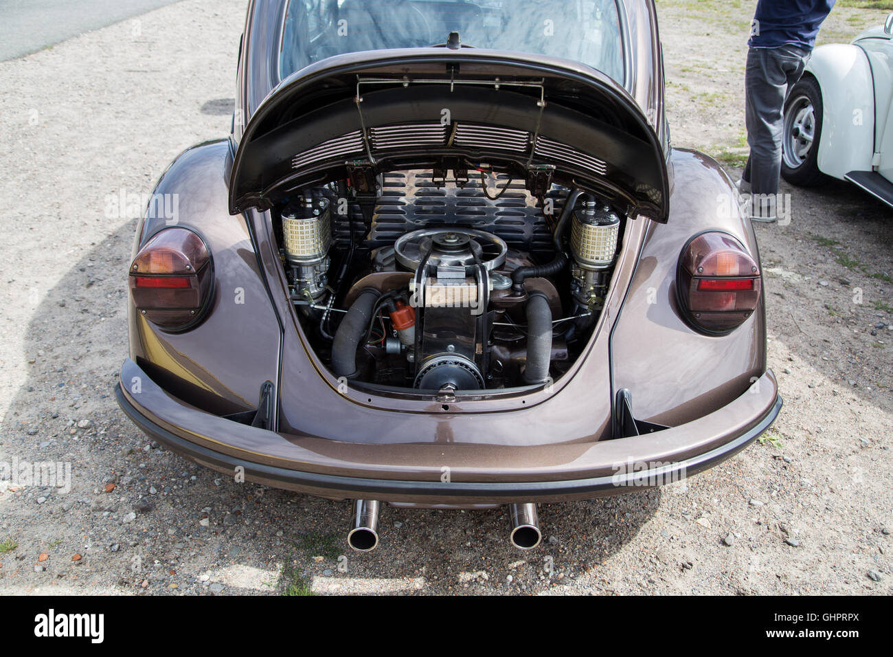 2016 beetle hi-res stock photography and images - Alamy