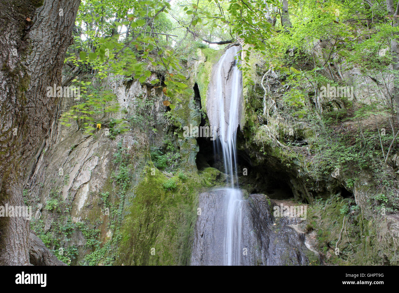 forest with waterfall Stock Photo - Alamy