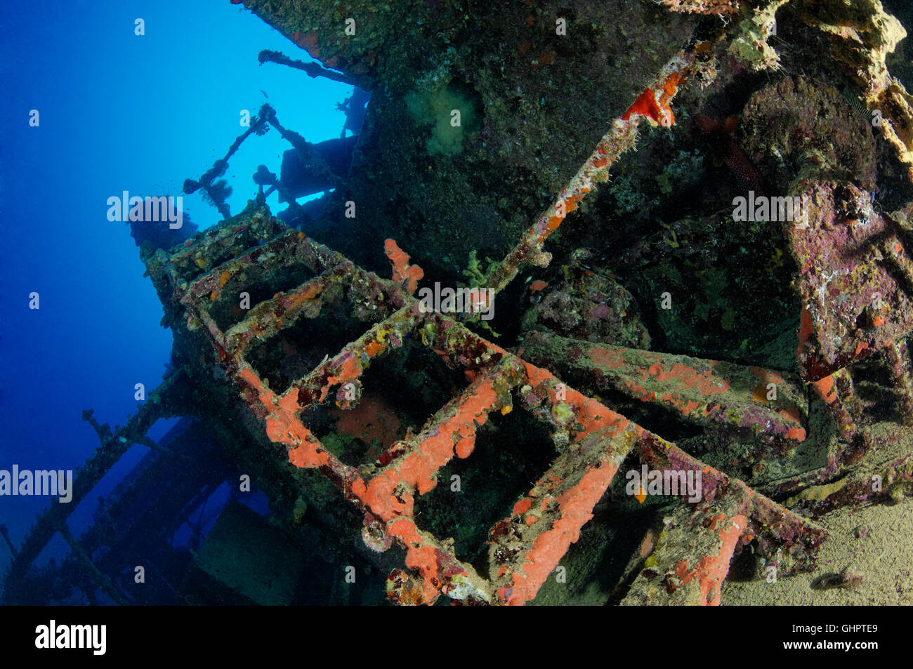 Shipwreck SS Turbo, scuba diver and ship wreck, Turbo Wreck, Ras Banas ...
