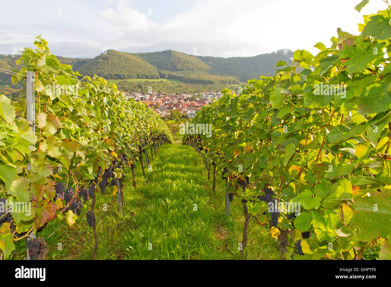 The swabian alps near Beuren - schwaebische Alb, Germany Stock Photo ...