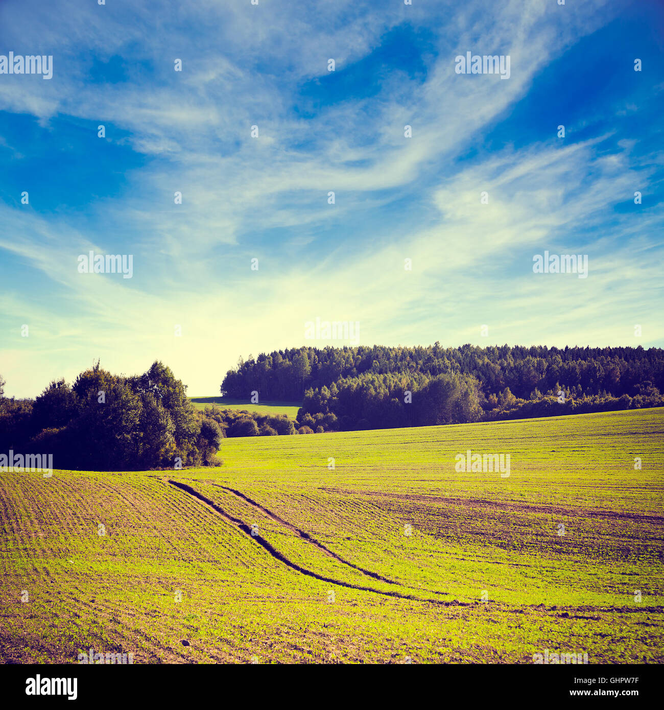 Spring Farm Landscape with Field and Clouds Stock Photo - Alamy