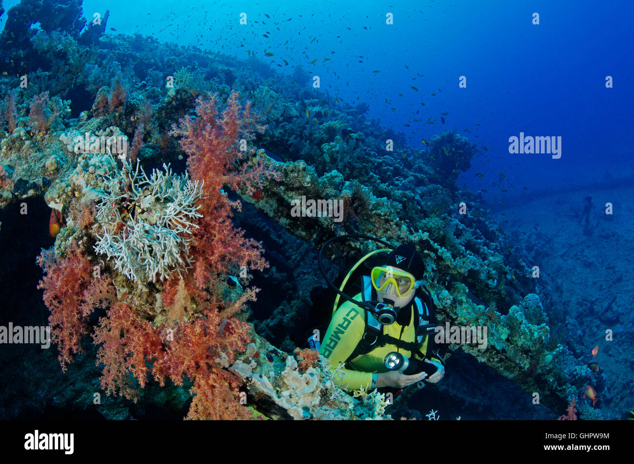 Carnatic Wreck High Resolution Stock Photography and Images - Alamy