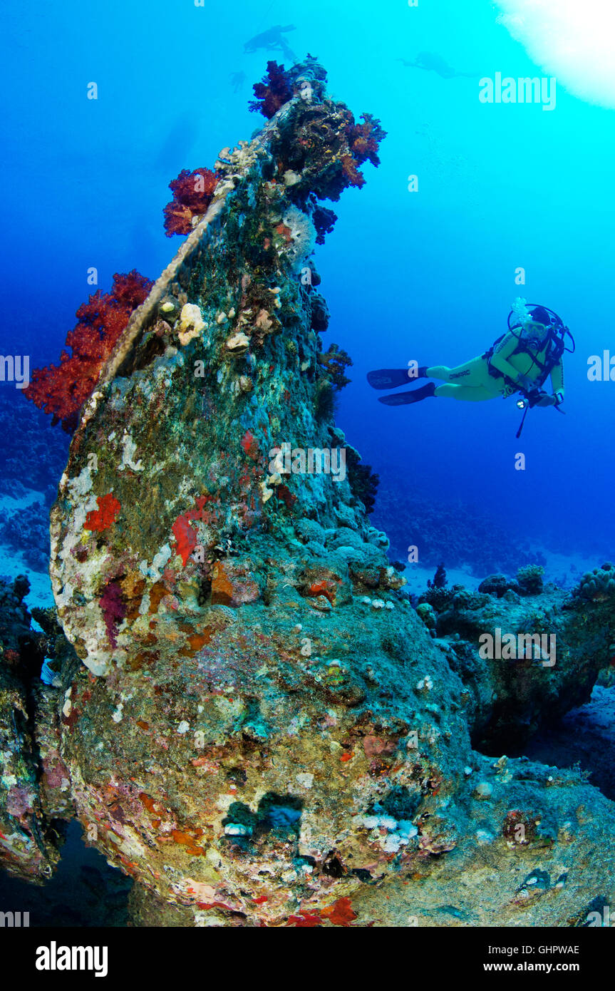 The Carnatic Ship Wreck Red Sea Egypt High Resolution Stock Photography ...