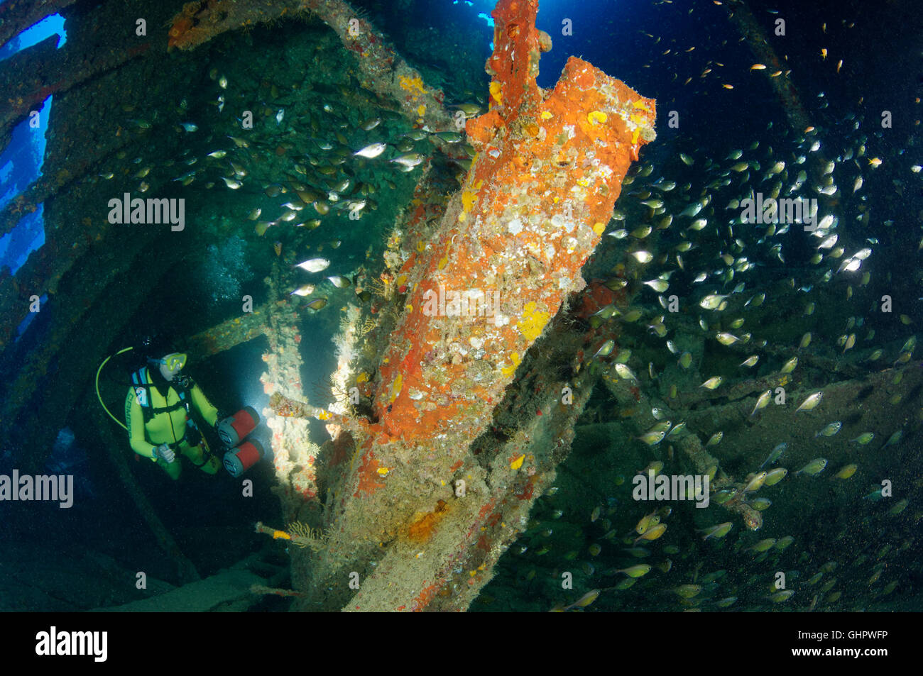 Shipwreck SS Ulysses and scuba diver inside ship wreck, Straot of Gubal ...