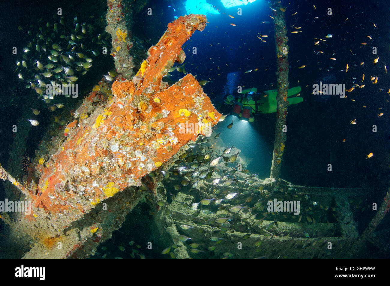 Shipwreckdiver High Resolution Stock Photography and Images - Alamy