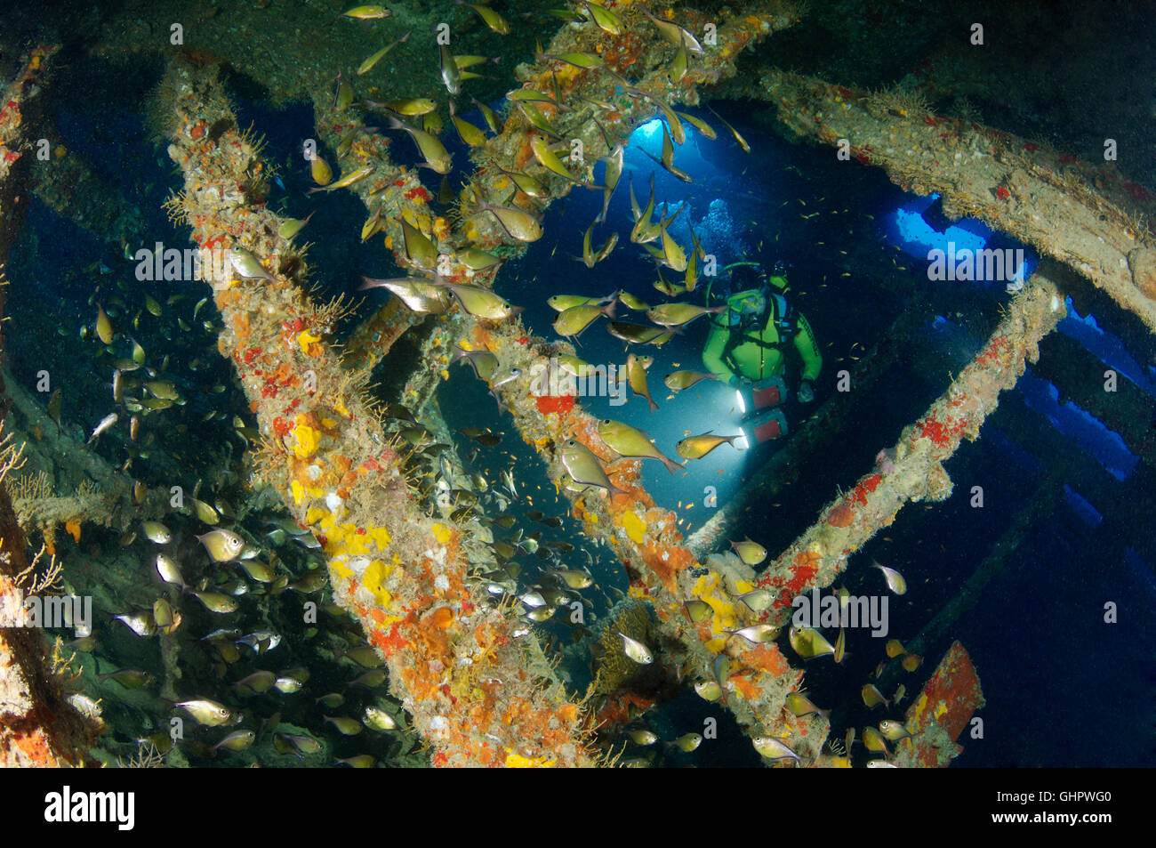 Shipwreck SS Ulysses and scuba diver inside ship wreck, Straot of Gubal ...
