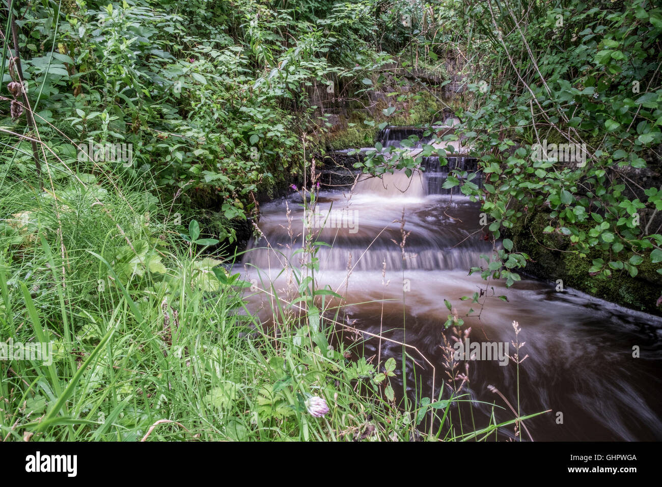 A fish ladder used for the fish to climb back to their spawning grounds ...