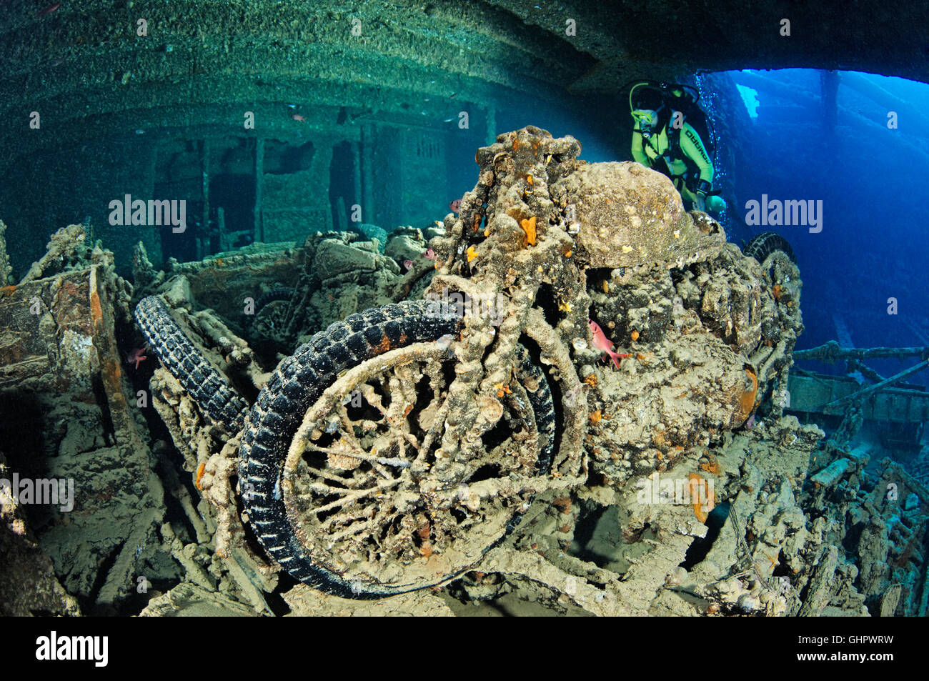 Shipwreck SS Thistlegorm, scuba diver inside Ship wreck by the ...