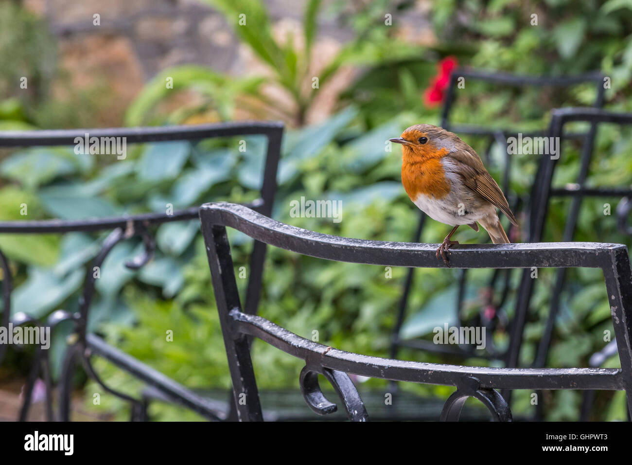 Park To Visit Donegal High Resolution Stock Photography and Images - Alamy