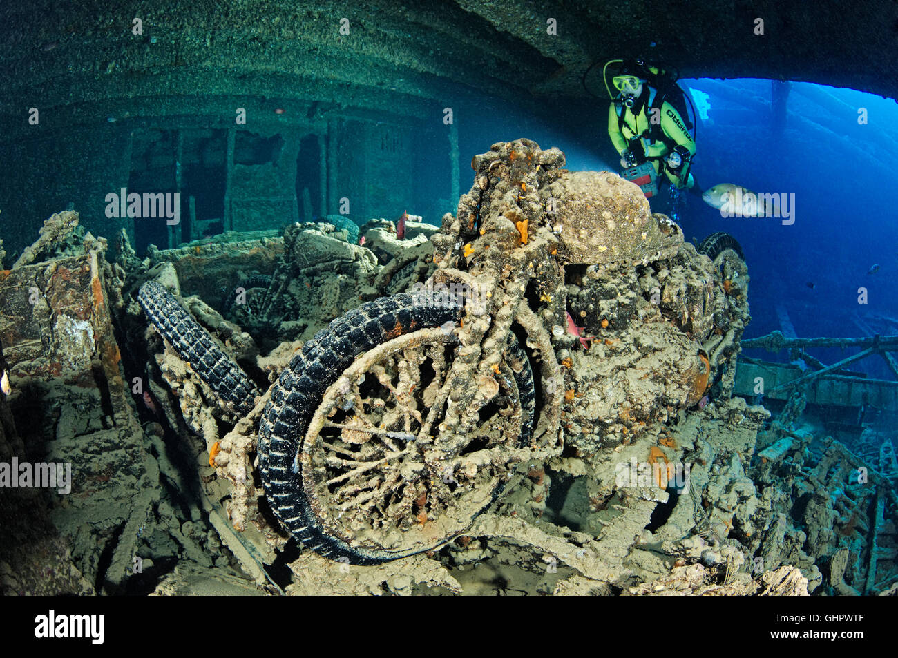 Shipwreck SS Thistlegorm, scuba diver inside Ship wreck by the Stock ...