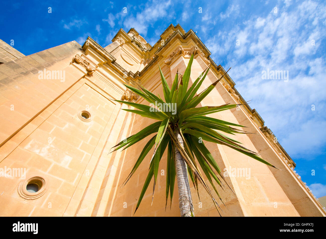 Palm tree in ancient roman hi-res stock photography and images - Alamy