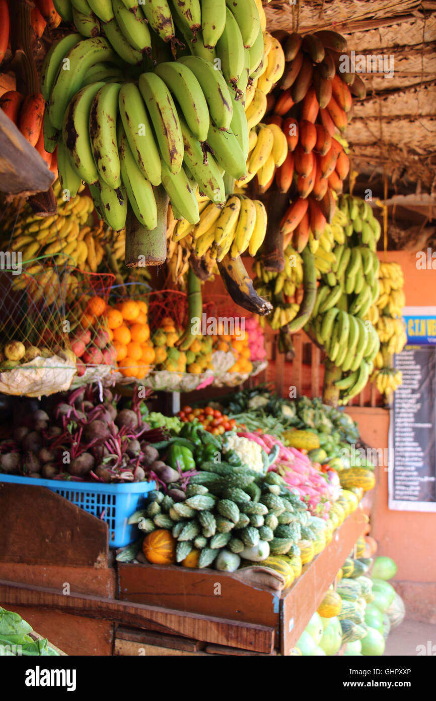 Multicolor Green Color Tropical Fruits South India Fruits In Nature multicolor-green-color-tropical-fruits-south-india-fruits-in-nature