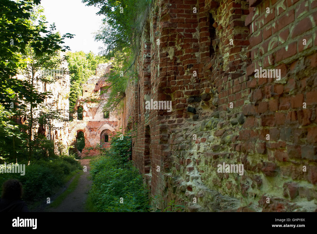 Balga hi-res stock photography and images - Alamy