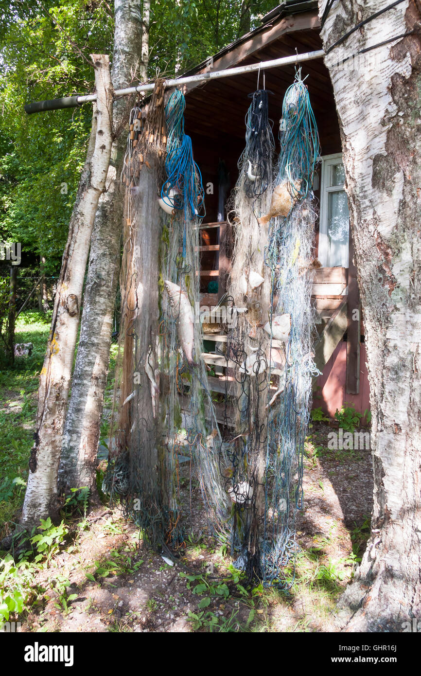 Several fishes hang in a fishing net Stock Photo - Alamy