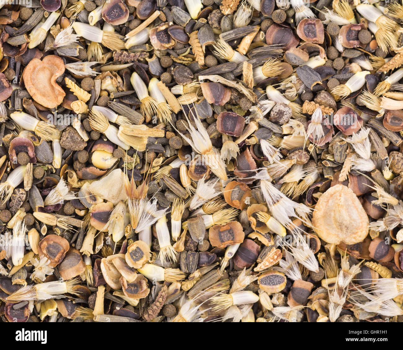 Close up of wildflower seeds. Background Stock Photo - Alamy