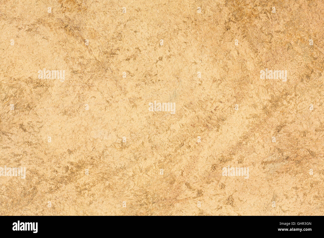 Beige leather texture hi-res stock photography and images - Alamy