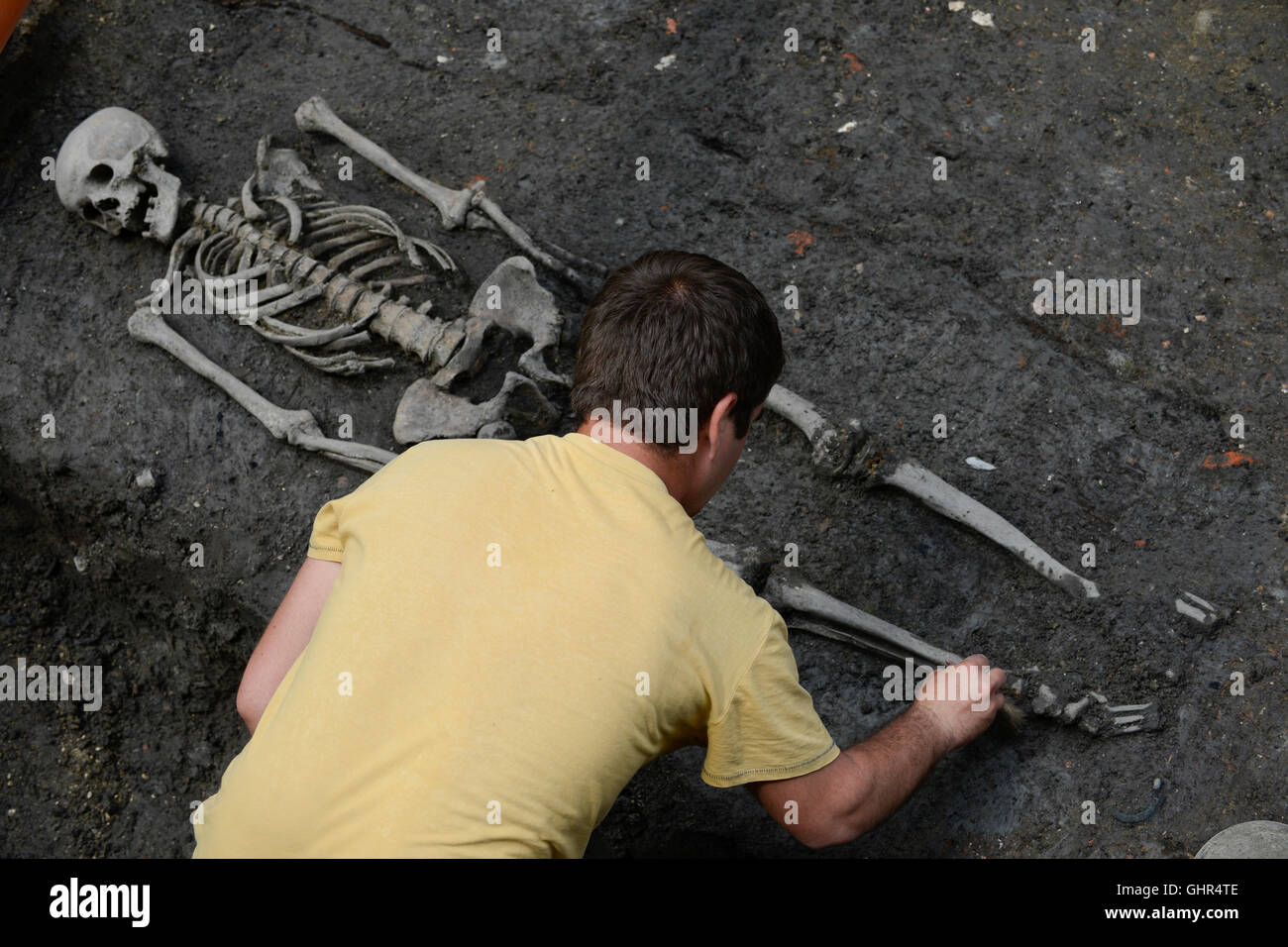 Archaeological excavation bones hi-res stock photography and images - Alamy