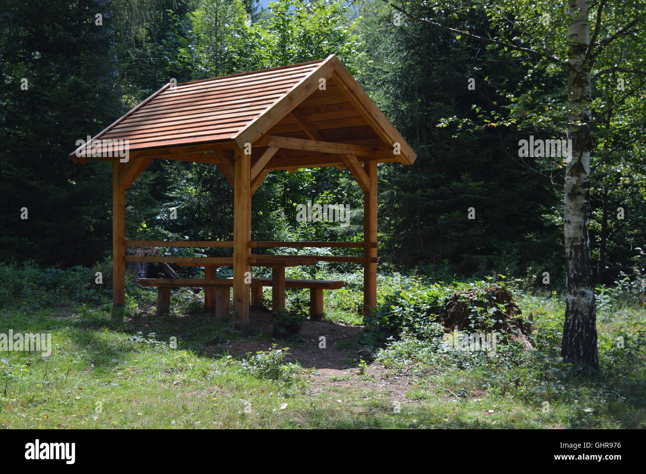 Forest resting place Stock Photo - Alamy