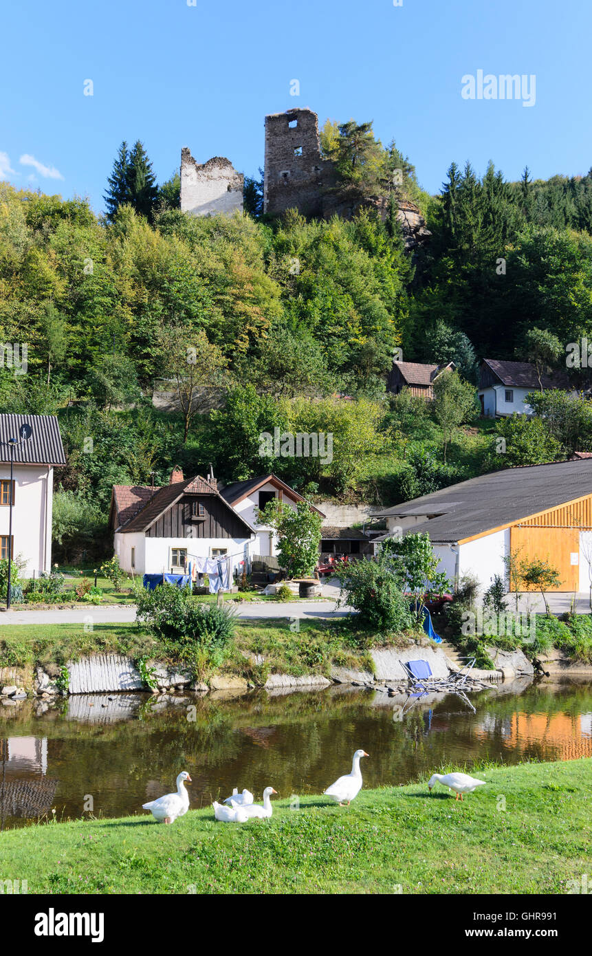 Gföhl: Hohenstein castle in Hohenstein above the valley of the Krems ...