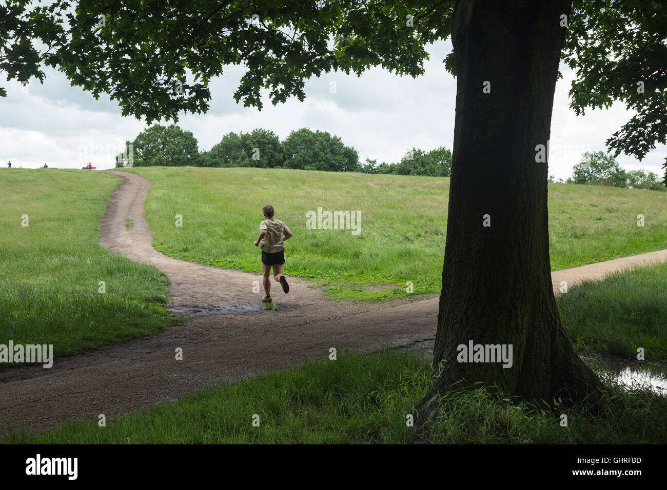 Run up trees hi-res stock photography and images - Alamy