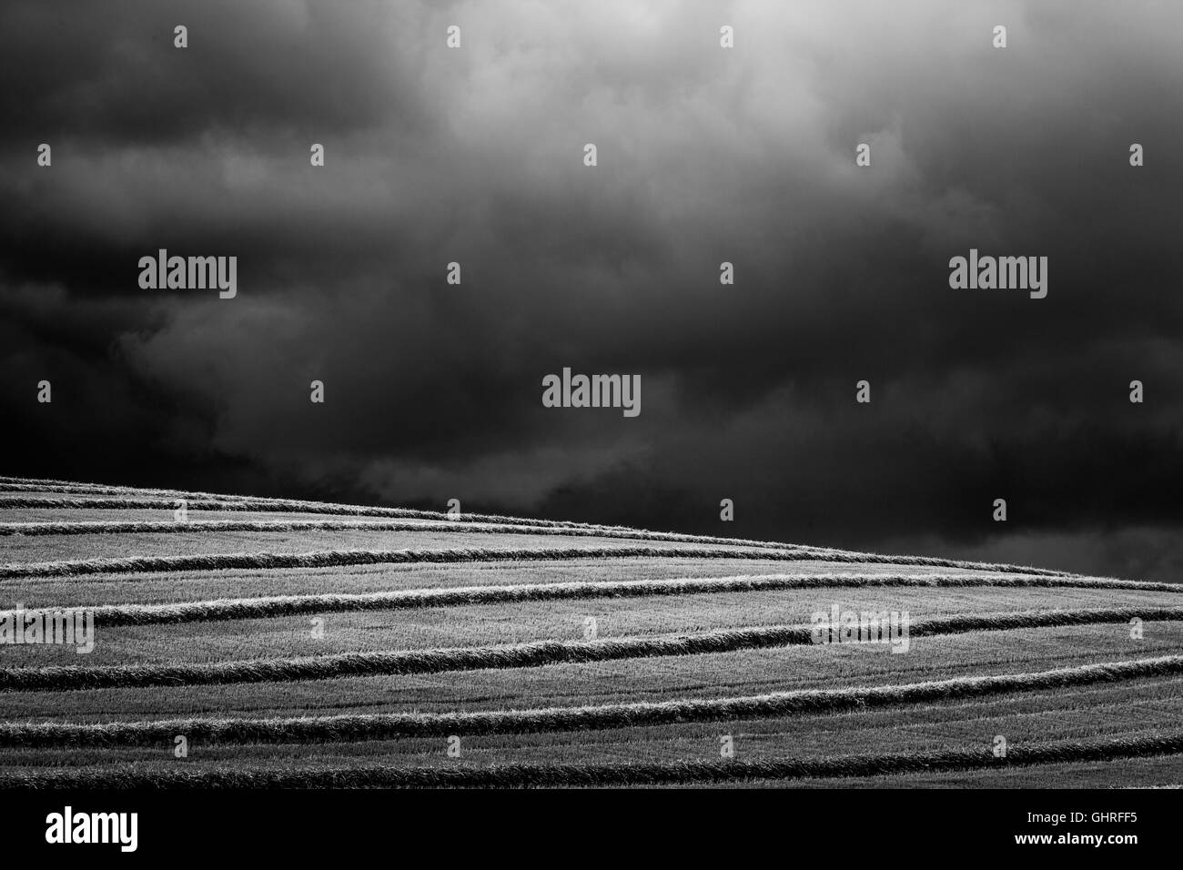 Crop lines hi-res stock photography and images - Alamy