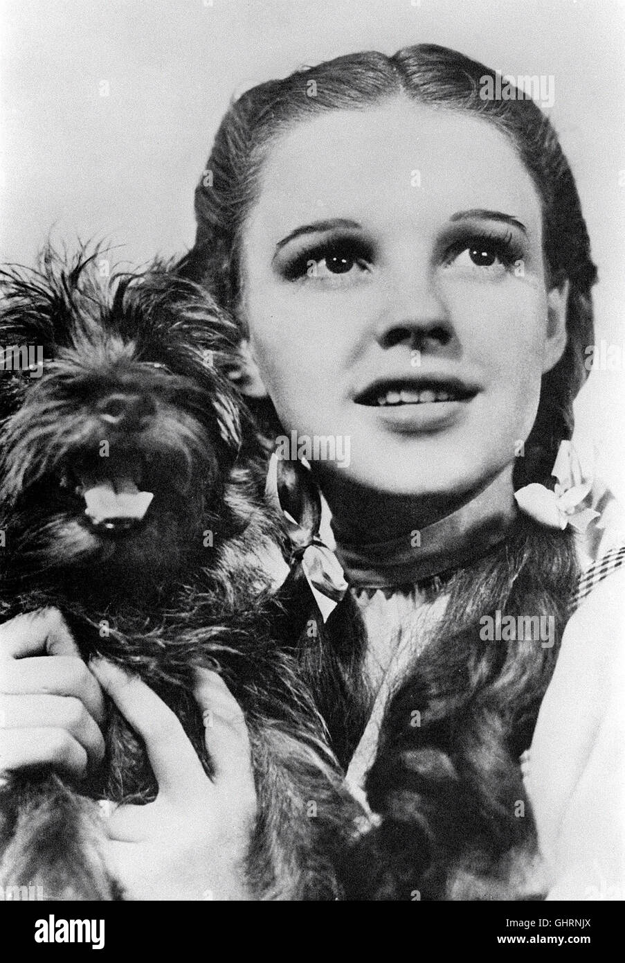 Haley Garland's Instagram, Twitter & Facebook on IDCrawl