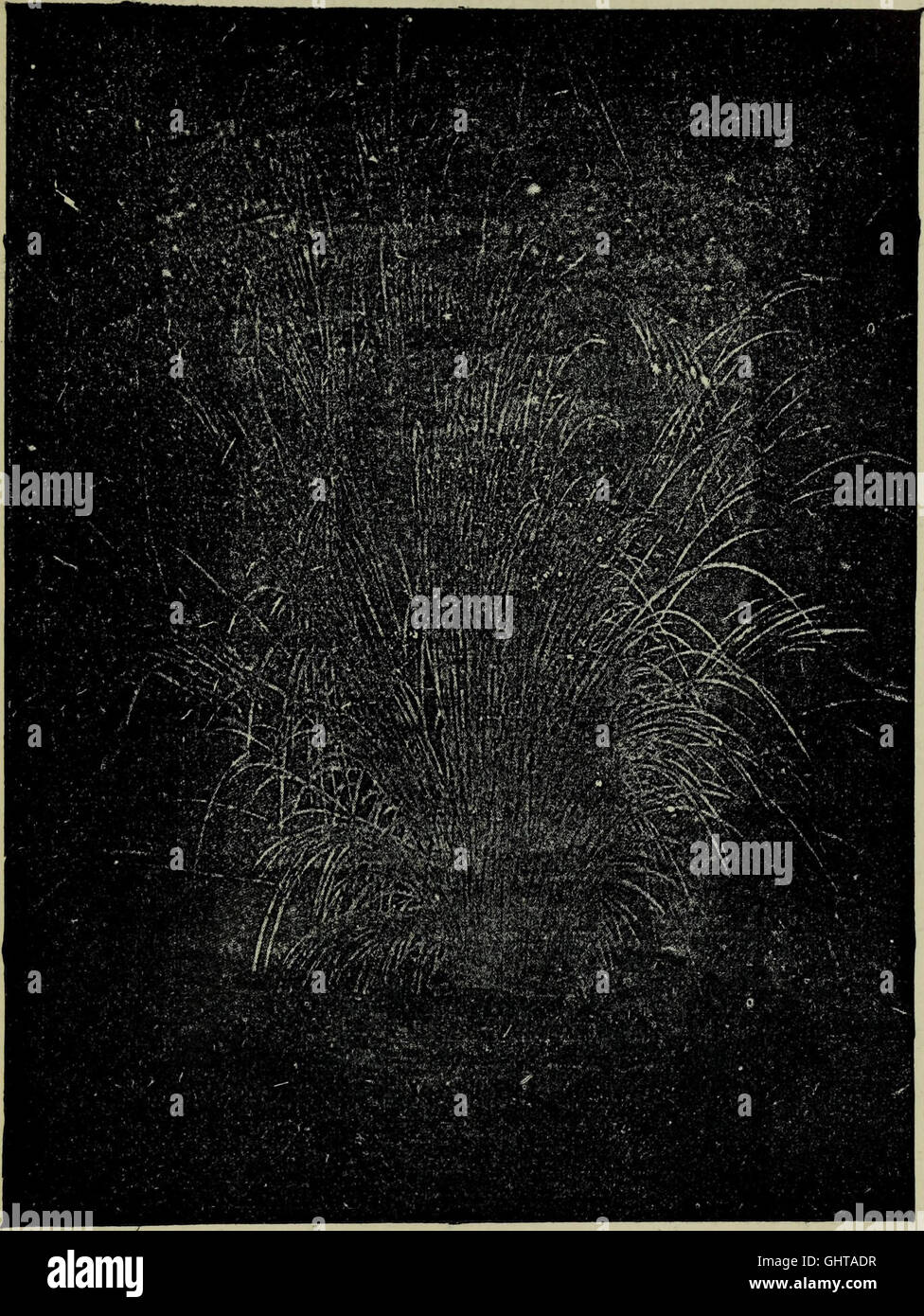 This guide offers a series of photography experiments aimed at amateurs ...