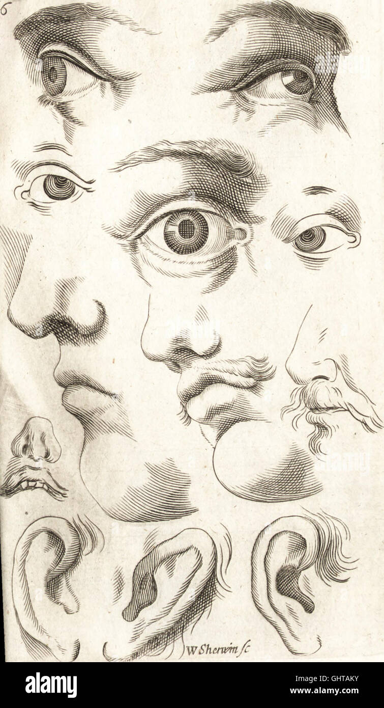 Polygraphice, or, The arts of drawing, engraving, etching, limning ...